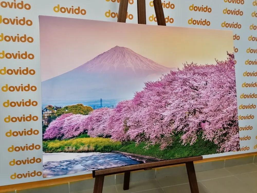 Obraz japonska sopka Fuji - 90x60 cm
