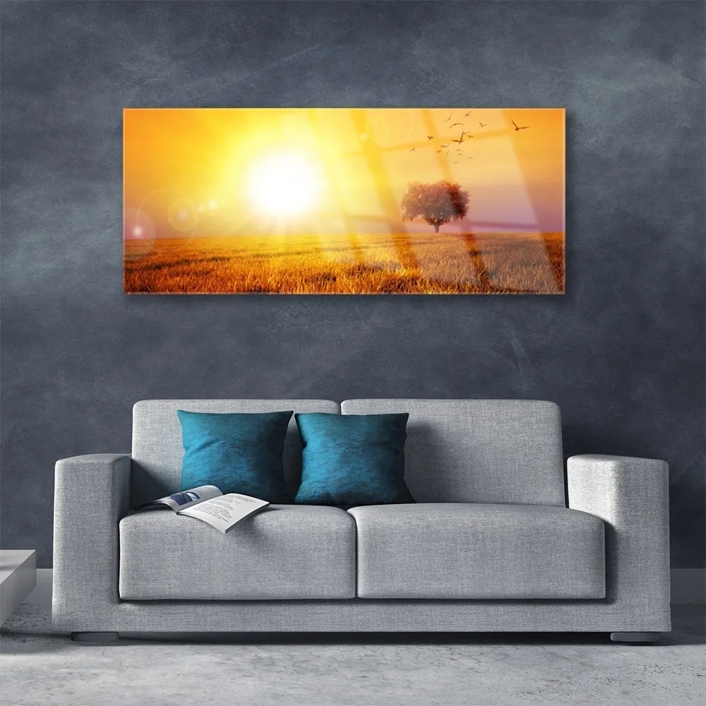 Plexisklo-obraz Západ Slunce Louka Plátky 125x50 cm