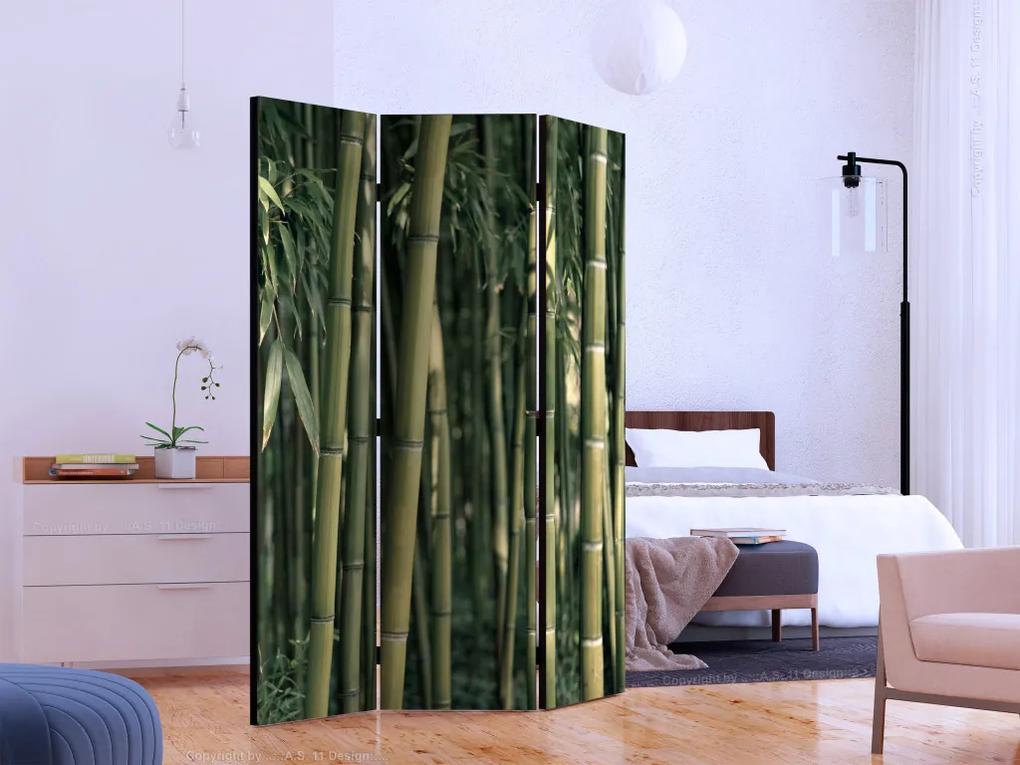 Pokojová zástěna Bambusová exotika