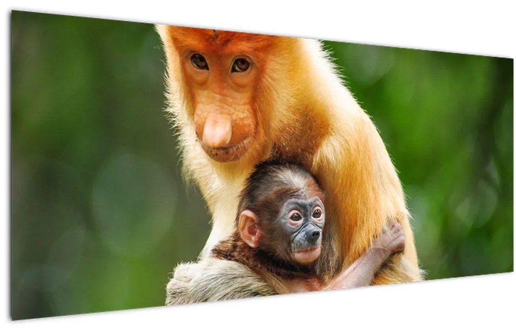 Obraz opic (120x50 cm), 40 dalších rozměrů