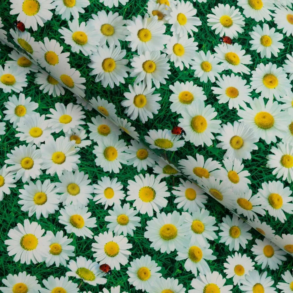 PVC ubrus Kopretiny na zeleném PV-161 - metráž š. 140 cm