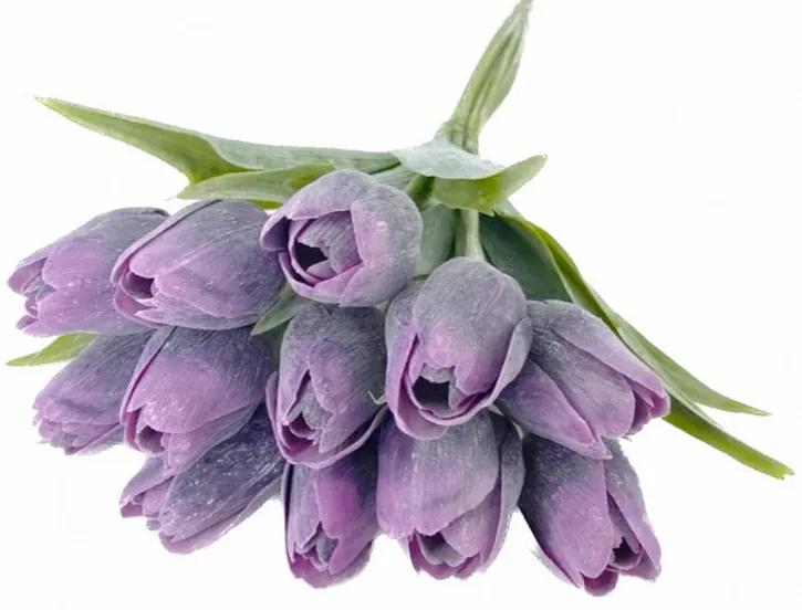 tulipán s listem (6 ks) - fialová