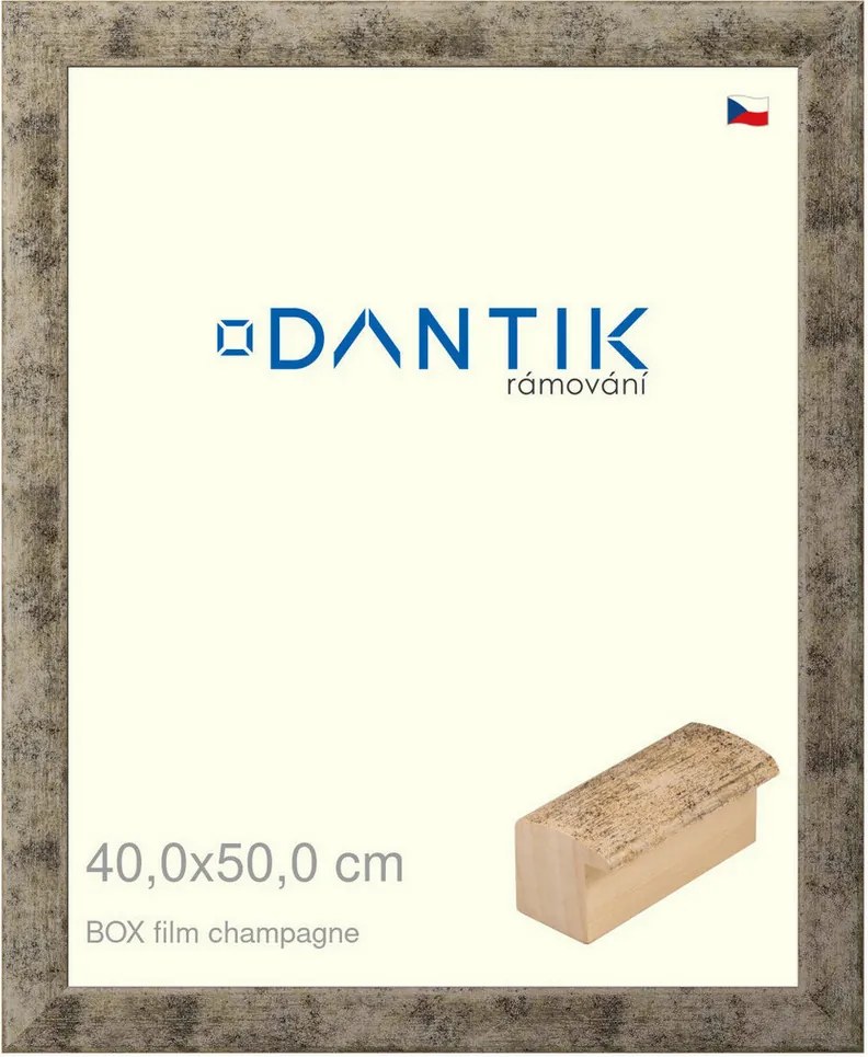 DANTIK rámeček 40x50 | BOX film champagne (Sklo Čiré)