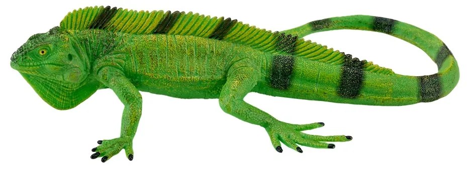 Mojo Leguán