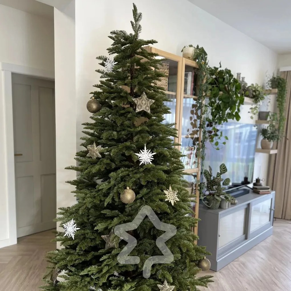 Jedle Kavkazská 100 % 220 cm