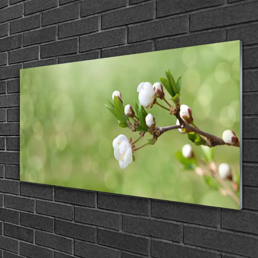 Obraz na skle Květiny 120x60 cm