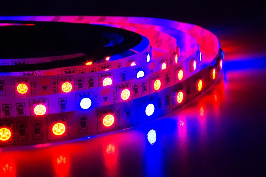 ECOLIGHT LED pásek - SMD 5050 - 5m - 60LED/m - 14,4W/m - IP65 - červená+modrá