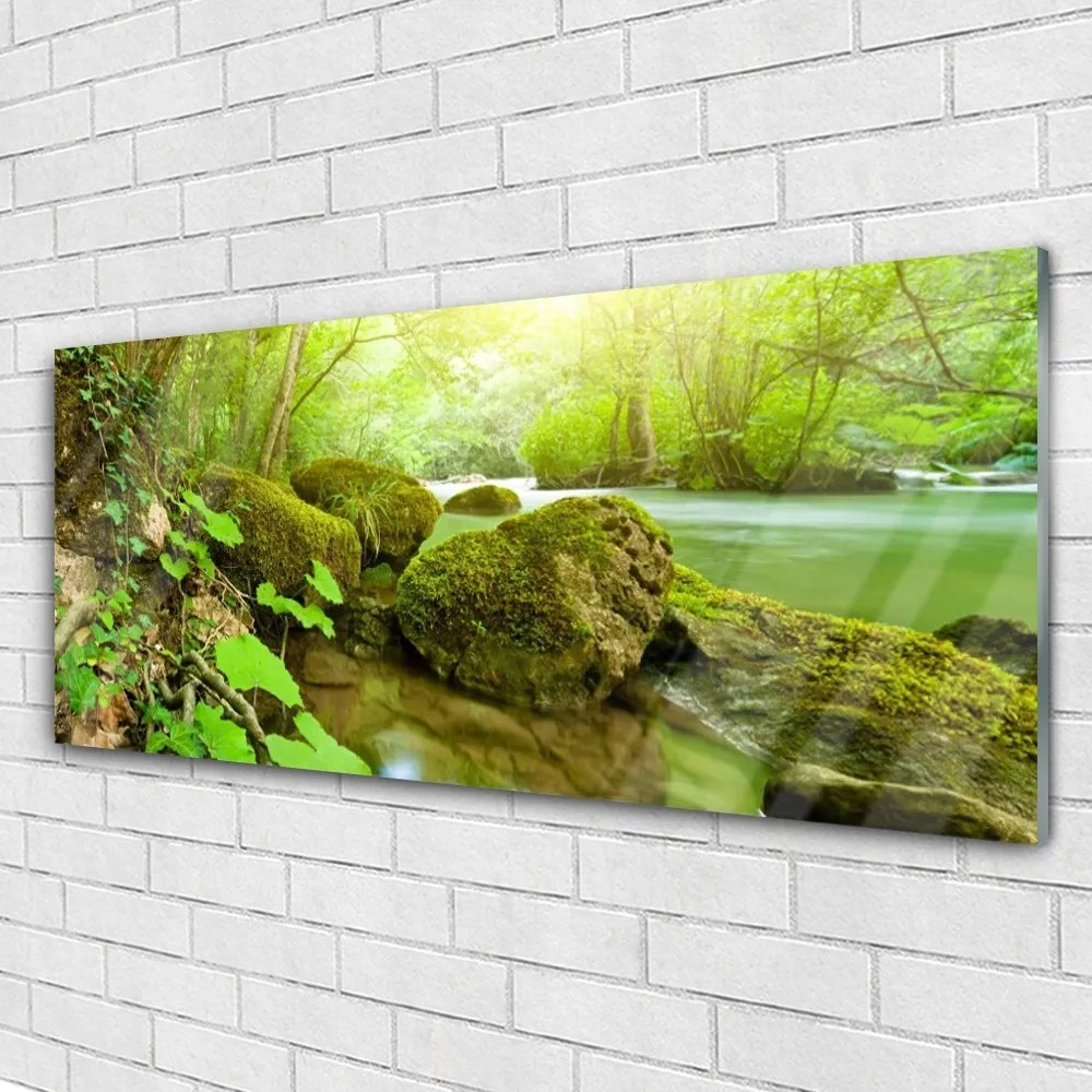 akrylový obraz Jezero Kameny Příroda 125x50 cm