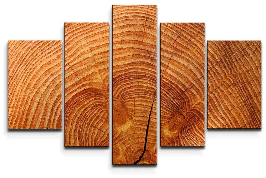 Sablio Obraz - 5-dílný Dřevo 2 - 125x90 cm