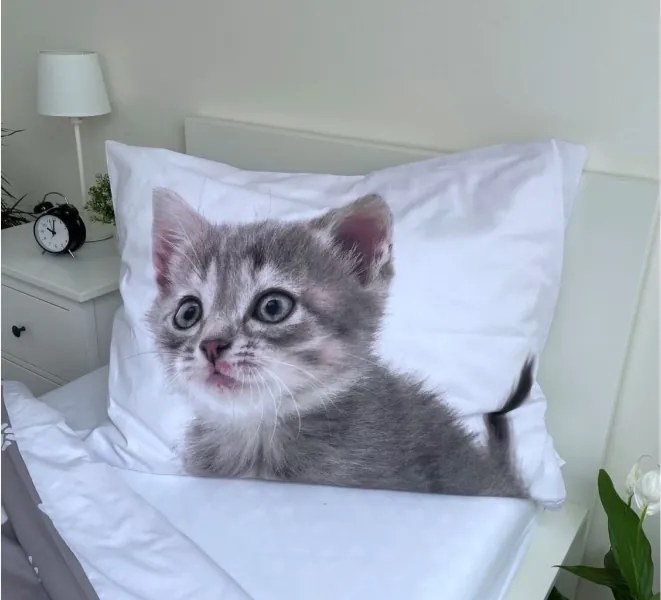 Jerry Fabrics Povlečení fototisk Kitten grey 140x200, 70x90 cm