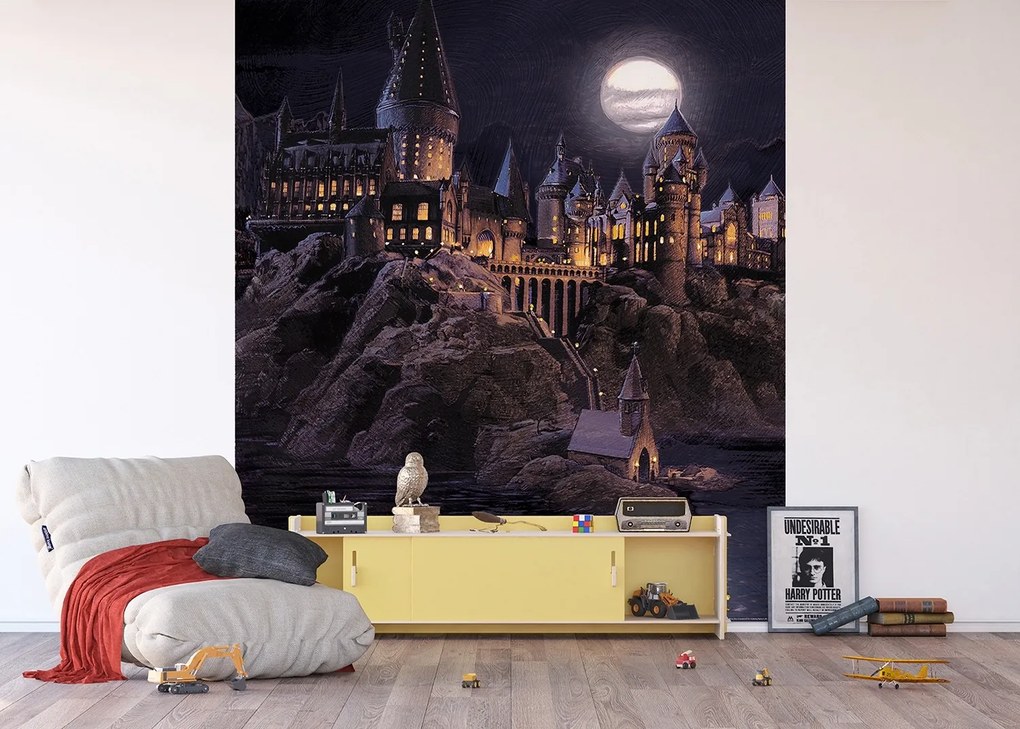 Dětská vliesová fototapeta na zed' Harry Potter | 225 x 270 cm | DFTD3P5177