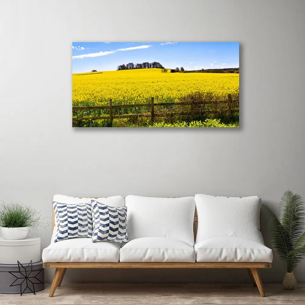 Obraz na plátně Pole Rostlina Krajina 125x50 cm