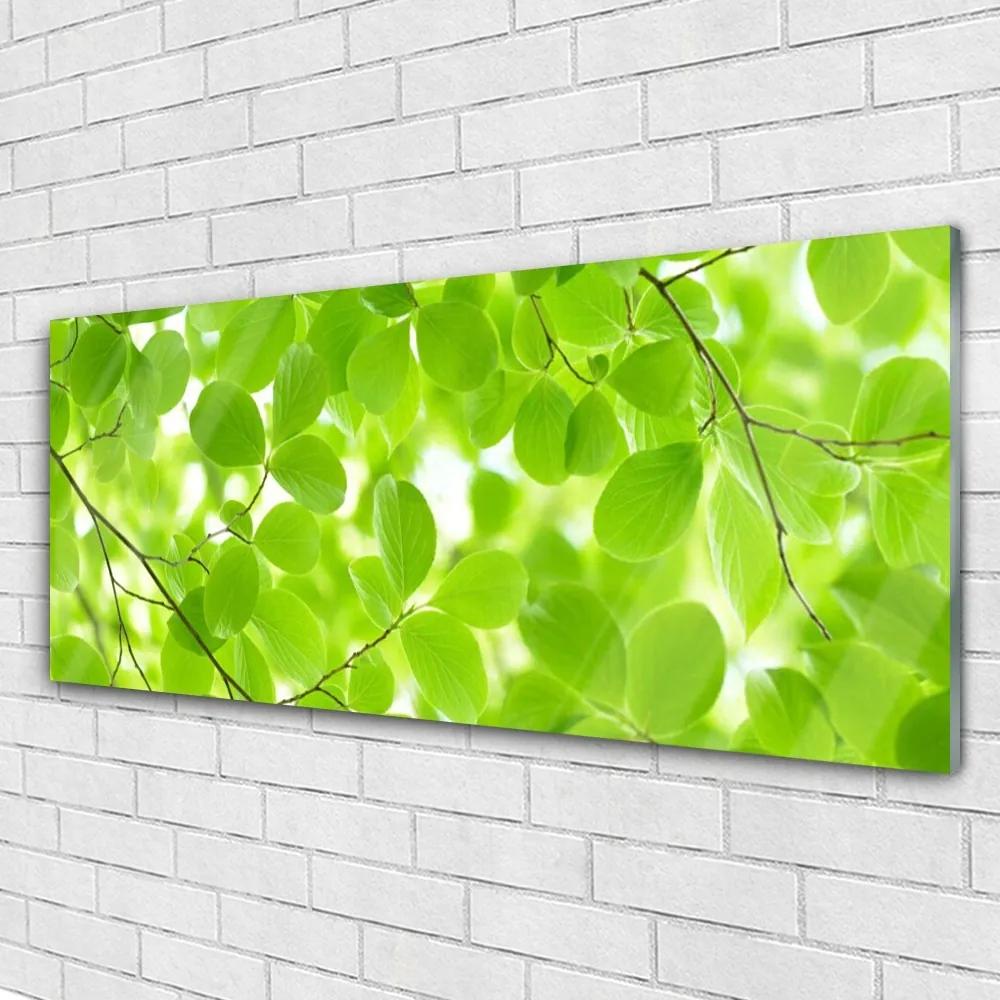 akrylový obraz Listy Příroda 125x50 cm