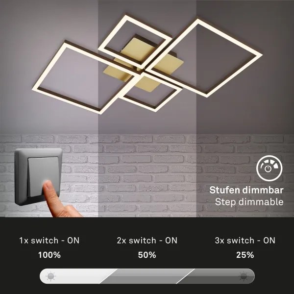 Brilo - LED Stmívatelný přisazený lustr FRAME LED/44W/230V