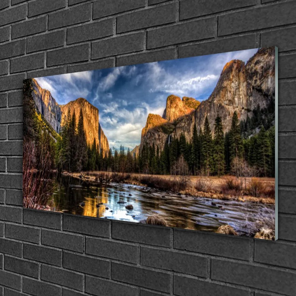 Obraz na skle Hora Les Jezero Příroda 100x50 cm