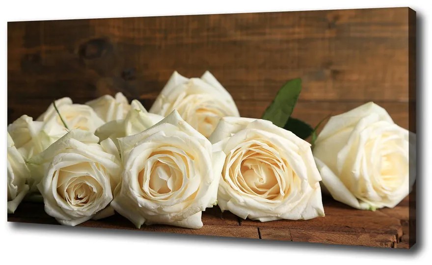 Wallmuralia Foto obraz na plátně Bílé růže 100x50 cm