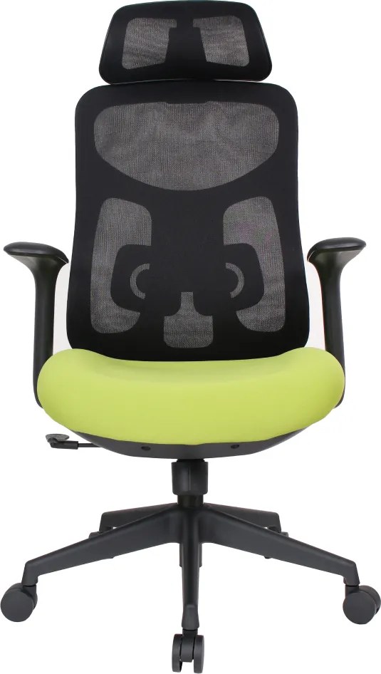 Ergonomická kancelářská židle LERO - černá síťovina / zelená látka / nosnost 150 kg