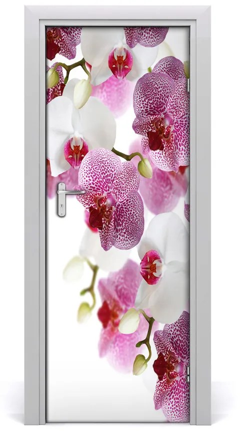 Fototapeta na dveře Orchidej 85x205 cm