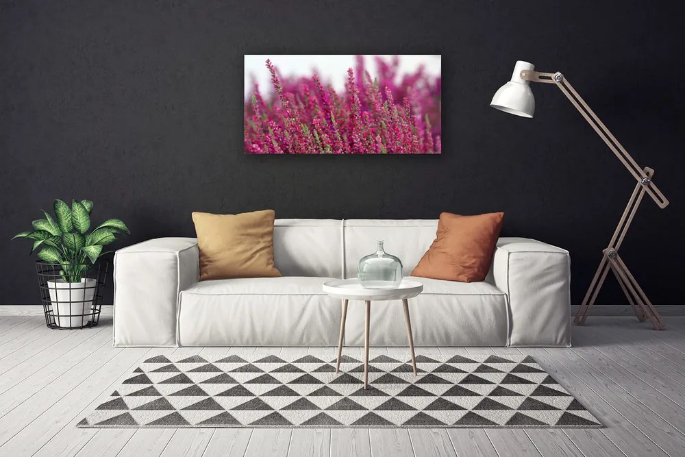 Obraz na plátně Květiny Louka Příroda 140x70 cm