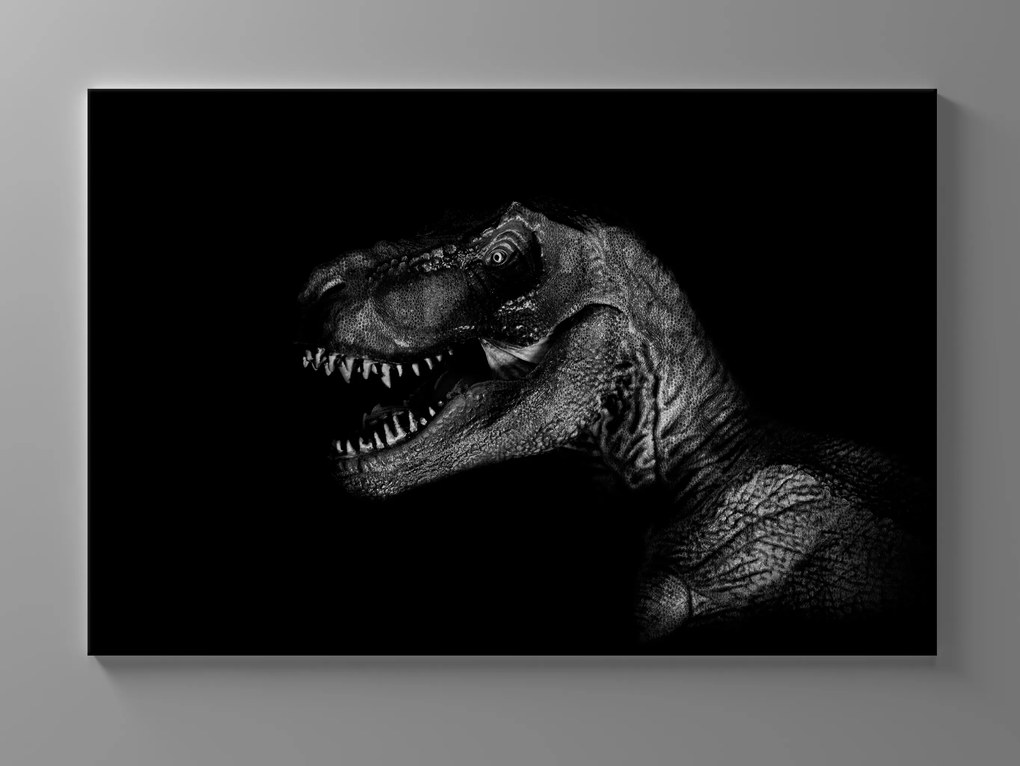 Obraz tyrannosaurus rex Rozměr: 120 x 80 cm