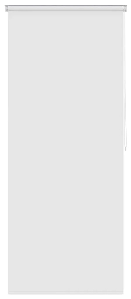 Sprchová roleta 120 x 240 cm bílá 142843