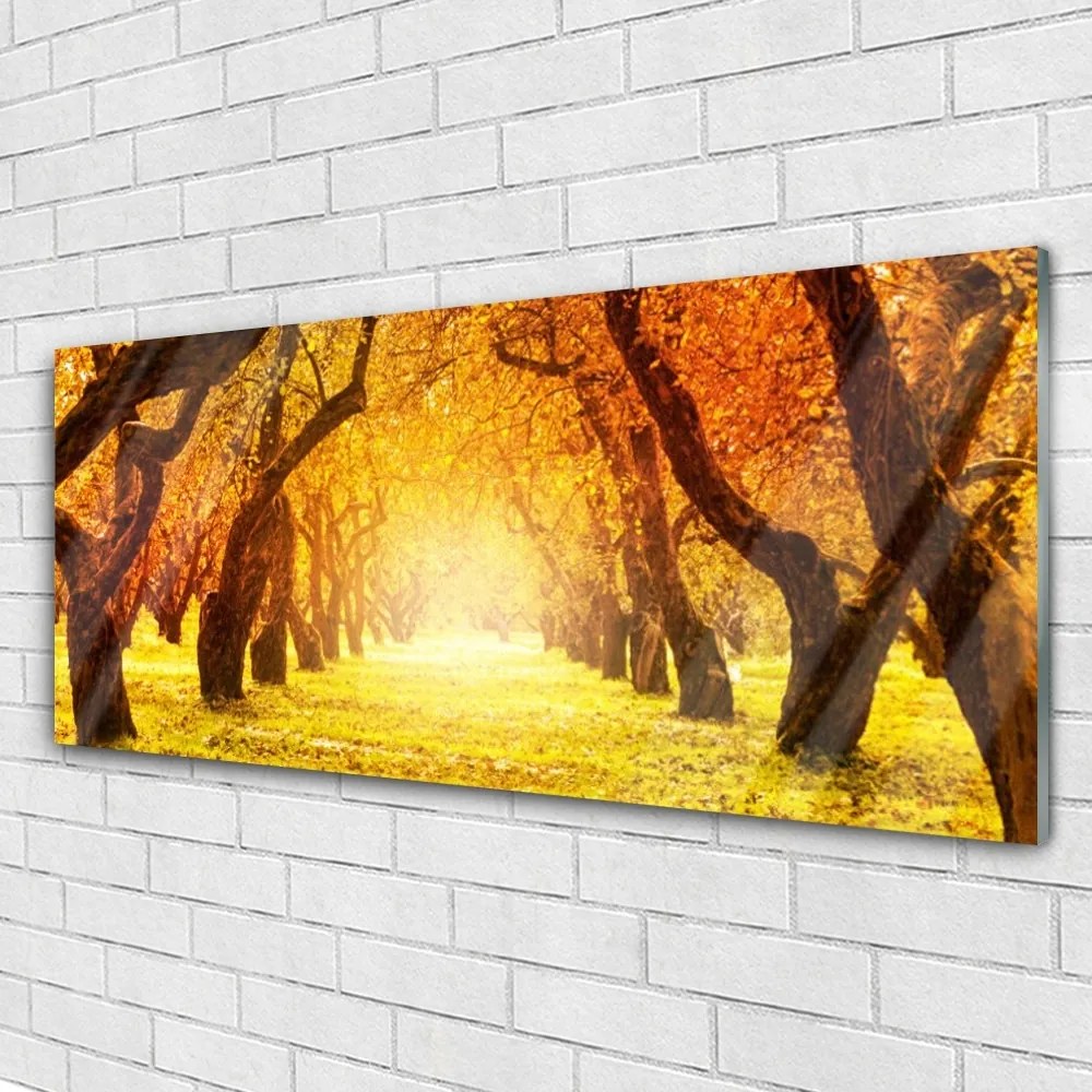 akrylový obraz Les Stezka Stromy Příroda 125x50 cm