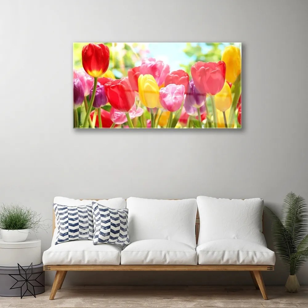 Obraz na skle Tulipány Květiny Rostlina 120x60 cm