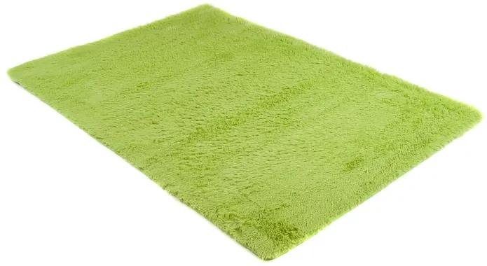 Lehký měkký kusový koberec SHAGGY SKANDY SD0130 - 80x150 cm