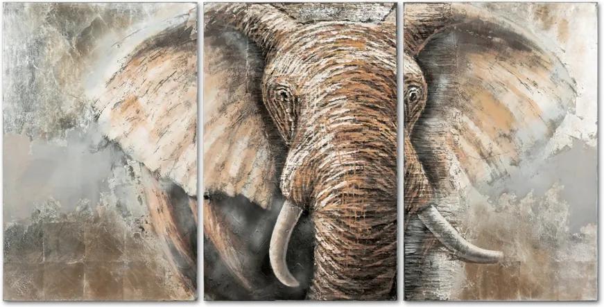 Artium Obraz - slon, ruční olejomalba na plátně.  Sada 3 kusy, - DOR040