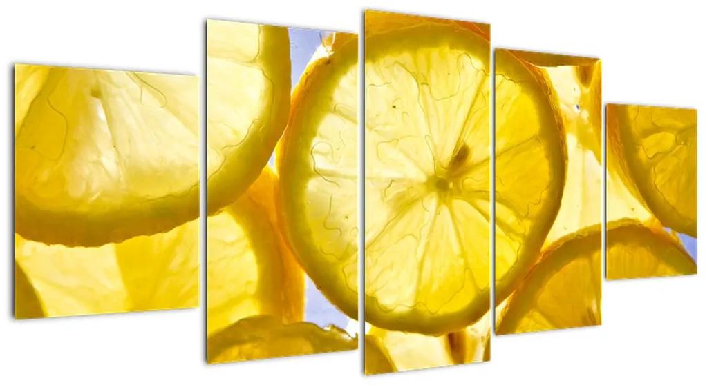 Plátky citrónů - obraz