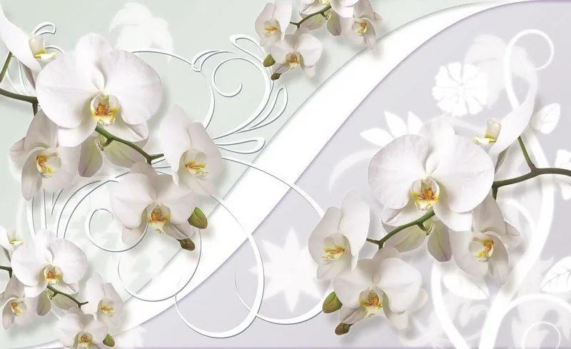 Postershop Fototapeta: Bílá orchidej (vzor) - 254x368 cm