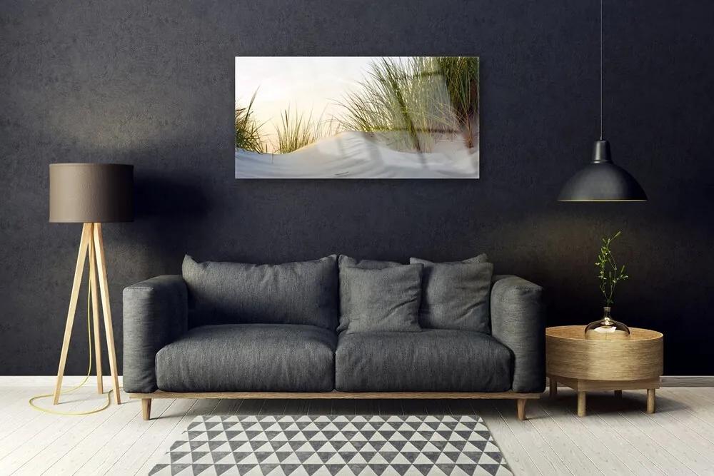 Obraz na skle Písek Tráva Krajina 125x50 cm