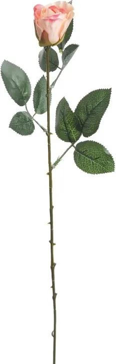 Růže sv. růžový melír 54cm, květ 3-5cm