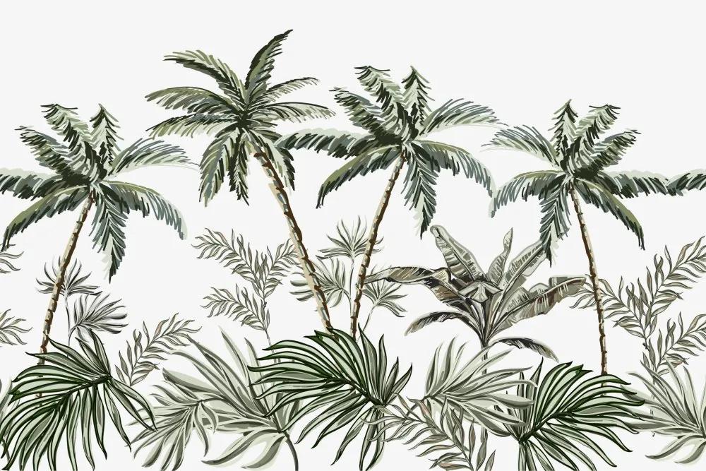 Fototapeta Palmy A Tropické Rostliny Omyvatelný vlies 180x120
