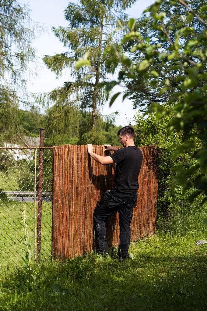 Vingo Proutěná zástěna na plot, 3 m Výška plotu: 150 cm, Délka plotu: 300 cm