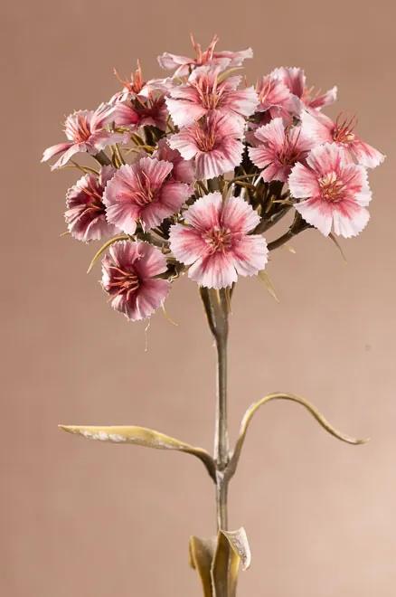 Paramit DRY DIANTHUS Aranžovací květina růžová 55 cm
