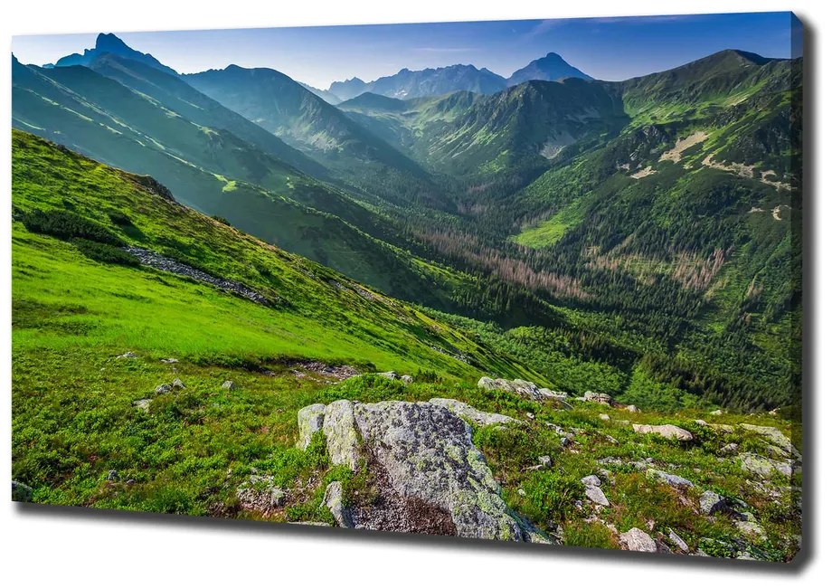 Wallmuralia Foto obraz na plátně Úsvit v horách 100x70 cm