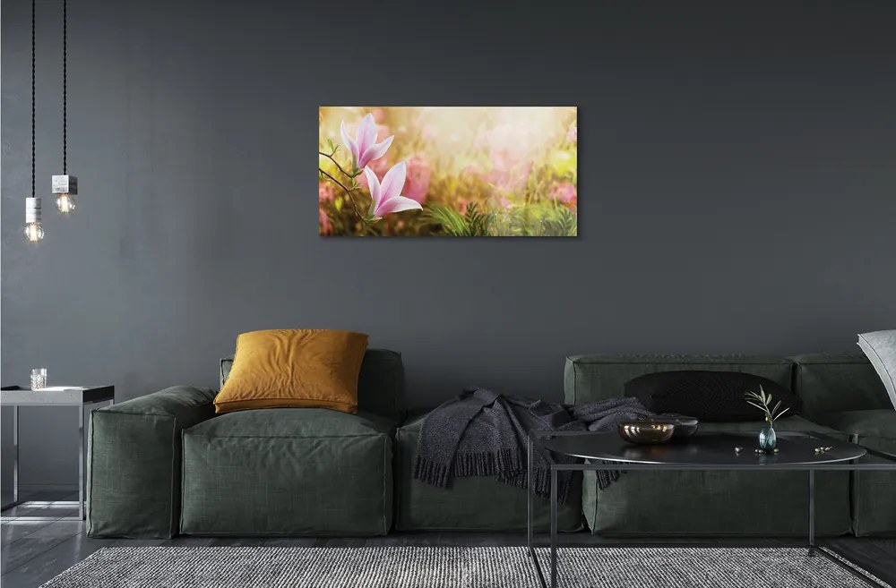 Obraz na skle Magnolie strom slunce 100x50 cm