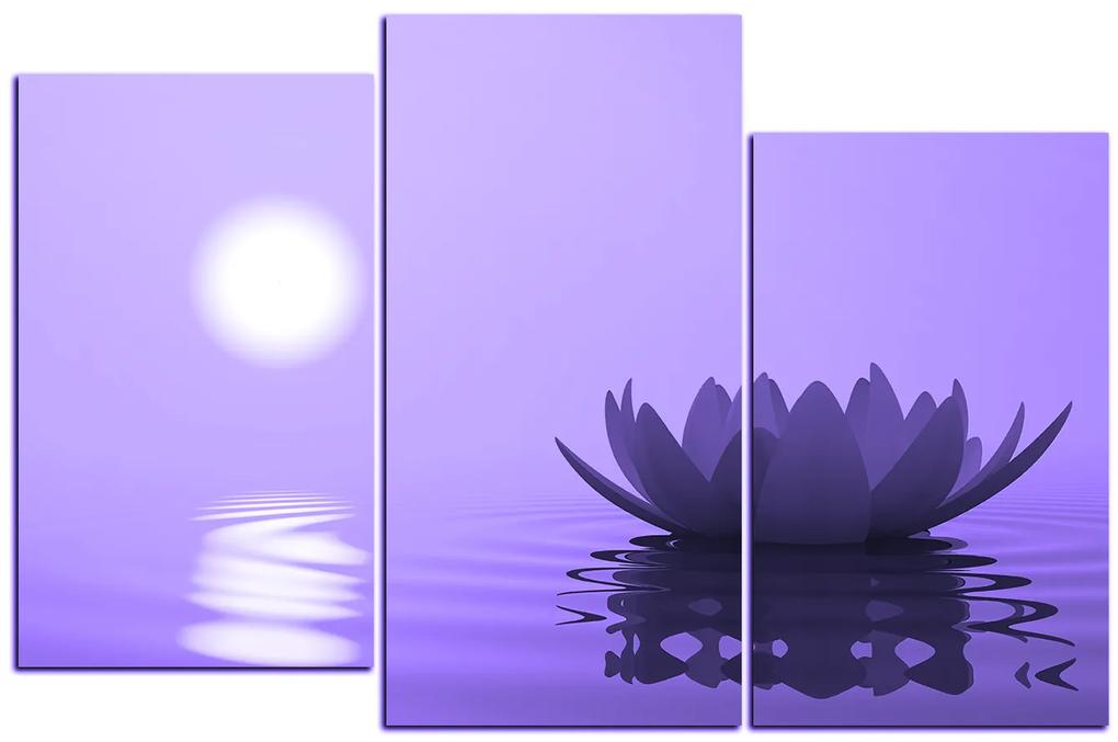 Obraz na plátně - Zen lotus 1167VC (105x70 cm)