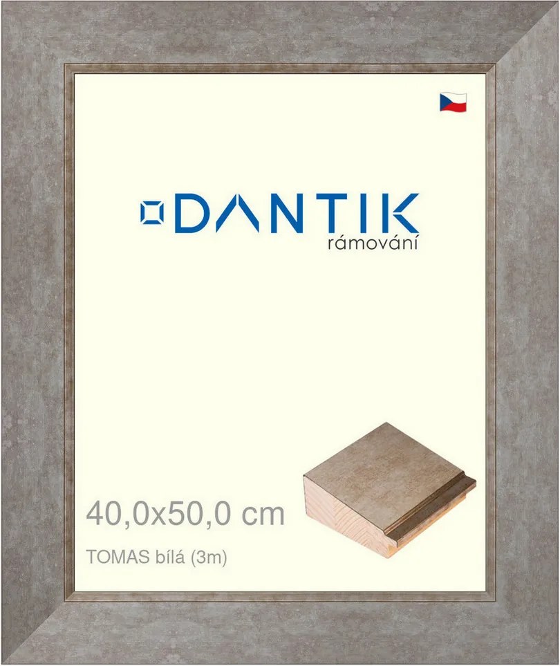 DANTIK rámeček 40x50 | TOMAS bílá velká (Sklo Čiré)