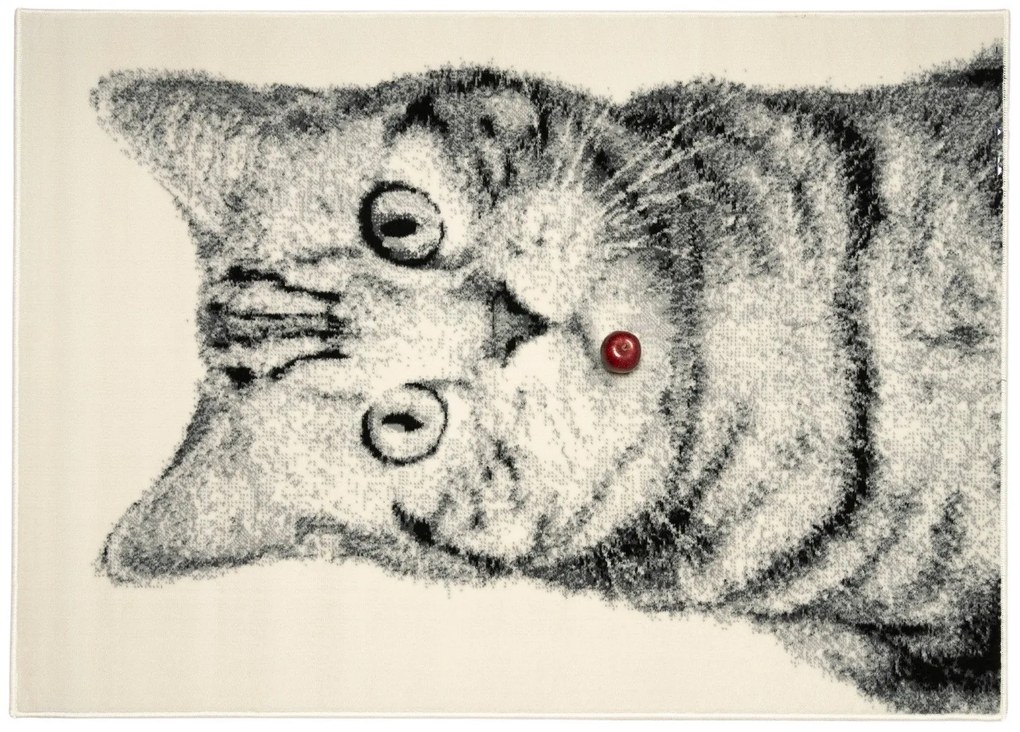 Alfa Carpets, Kusový koberec Cat grey, 190x280, šedá, dětský pokoj