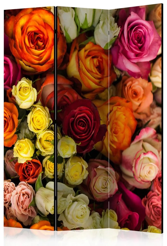 Paraván barevné růže Velikost (šířka x výška): 135x172 cm