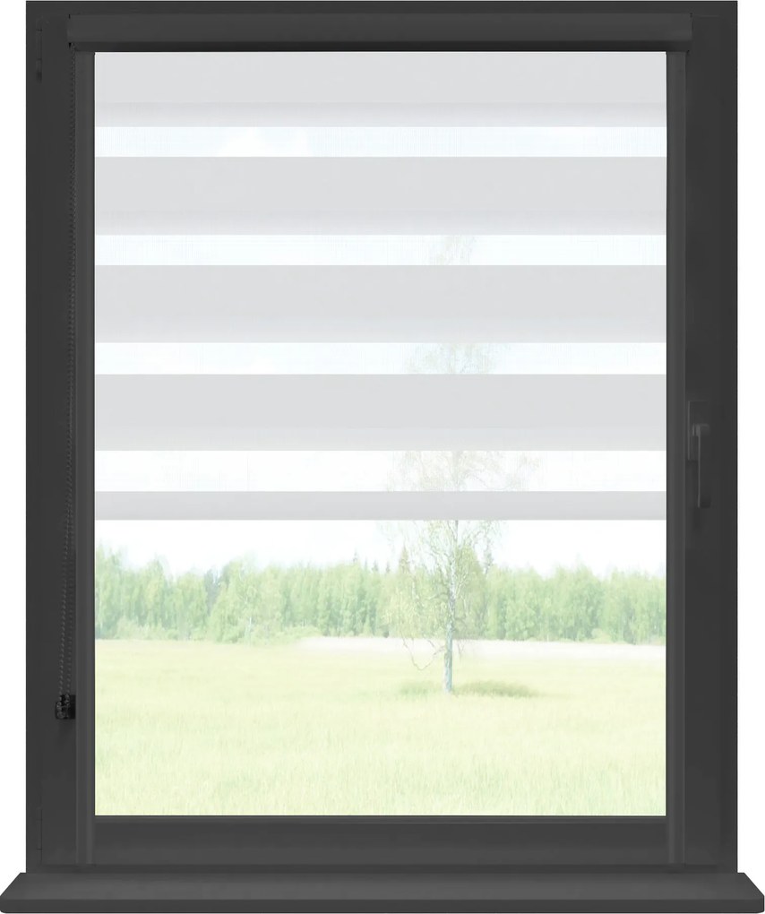 Dekodum Roleta den a noc v antracitové kazetě soft, barva látky Bílá Šířka (cm): 149, Výška (cm): Balkonová (do 200 cm), Strana mechanismu: Práva