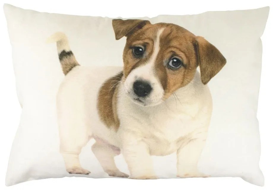 Plátěný polštář se štěnětem Jack Russel - 35*50*10cm