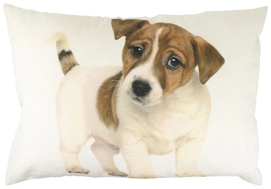 Plátěný polštář se štěnětem Jack Russel  - 35*50*10cm