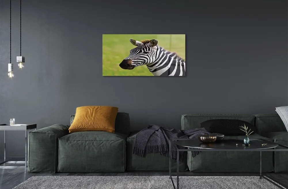 Obraz na skle zebra 120x60 cm