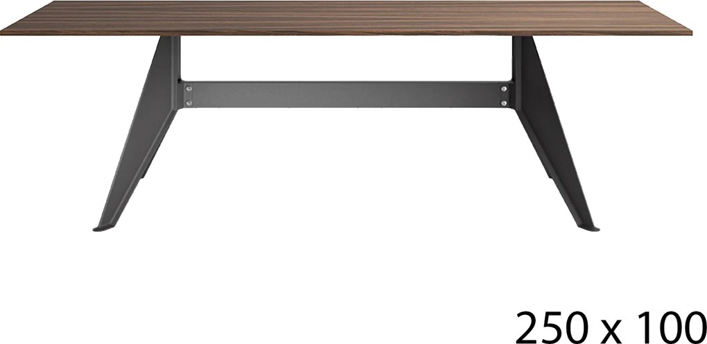 Desalto designové jídelní stoly Cast (250 x 100 cm)
