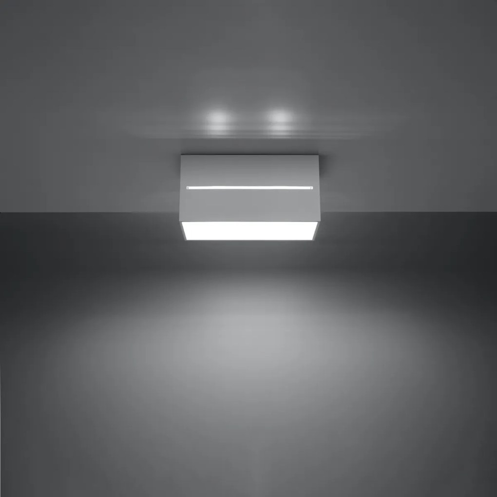 Sollux Lighting Stropní svítidlo LOBO 2 bílé