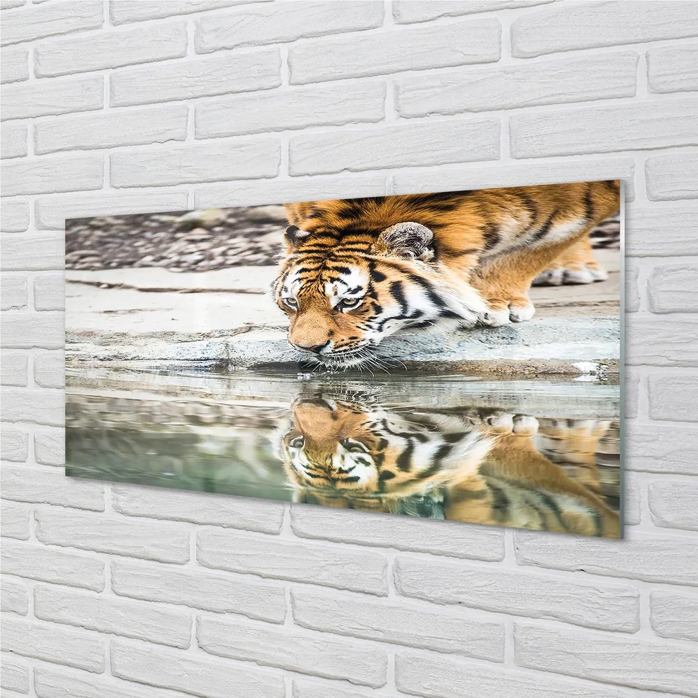 akrylový obraz tiger pití 140x70 cm