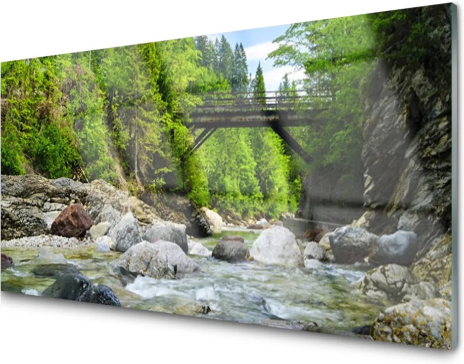 Skleněný obraz Dřevěný Most v Lese